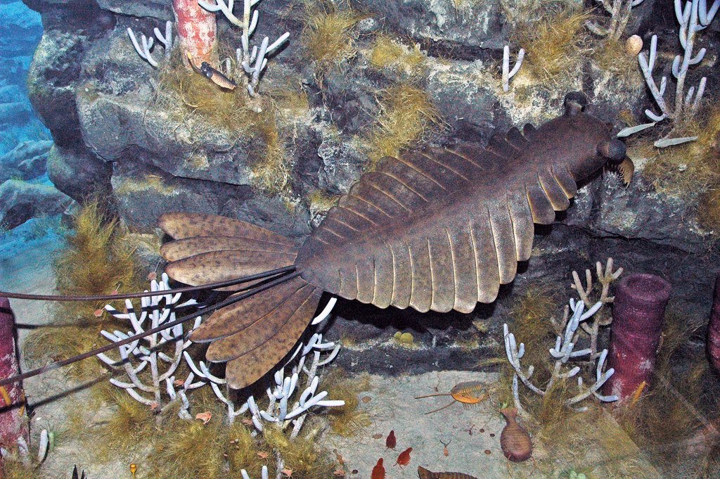 Lost World Emerges Beneath the Waves: Underwater Fossils Uncover ...